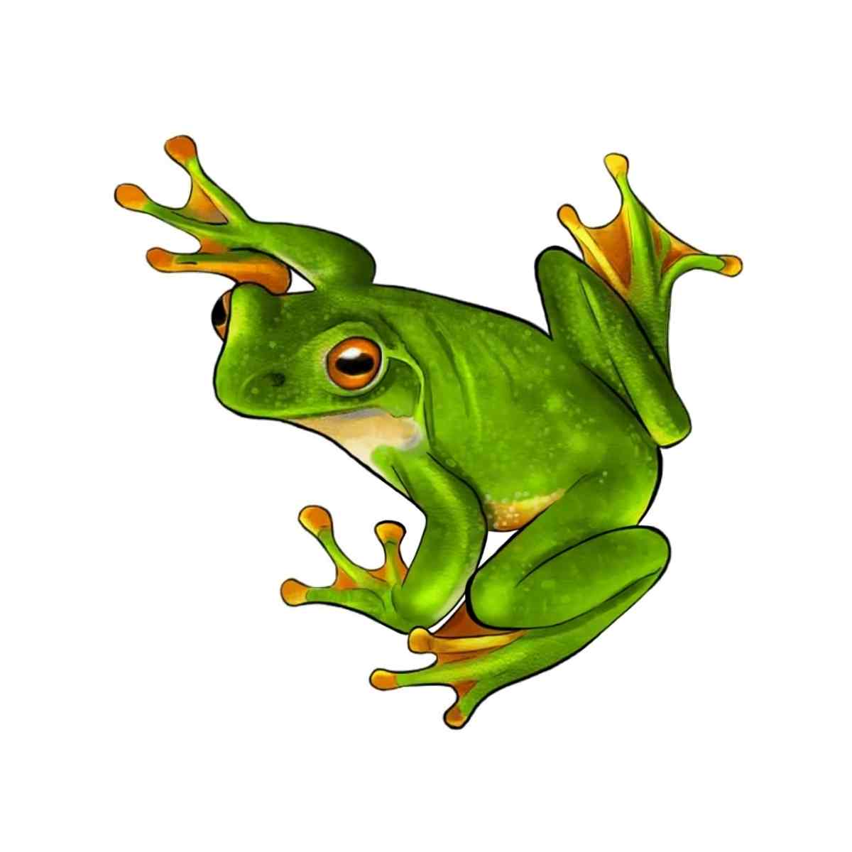 Frosk - Pussel – Crafthub Sweden
